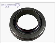 RETENTOR PINHAO - Roni Chaves